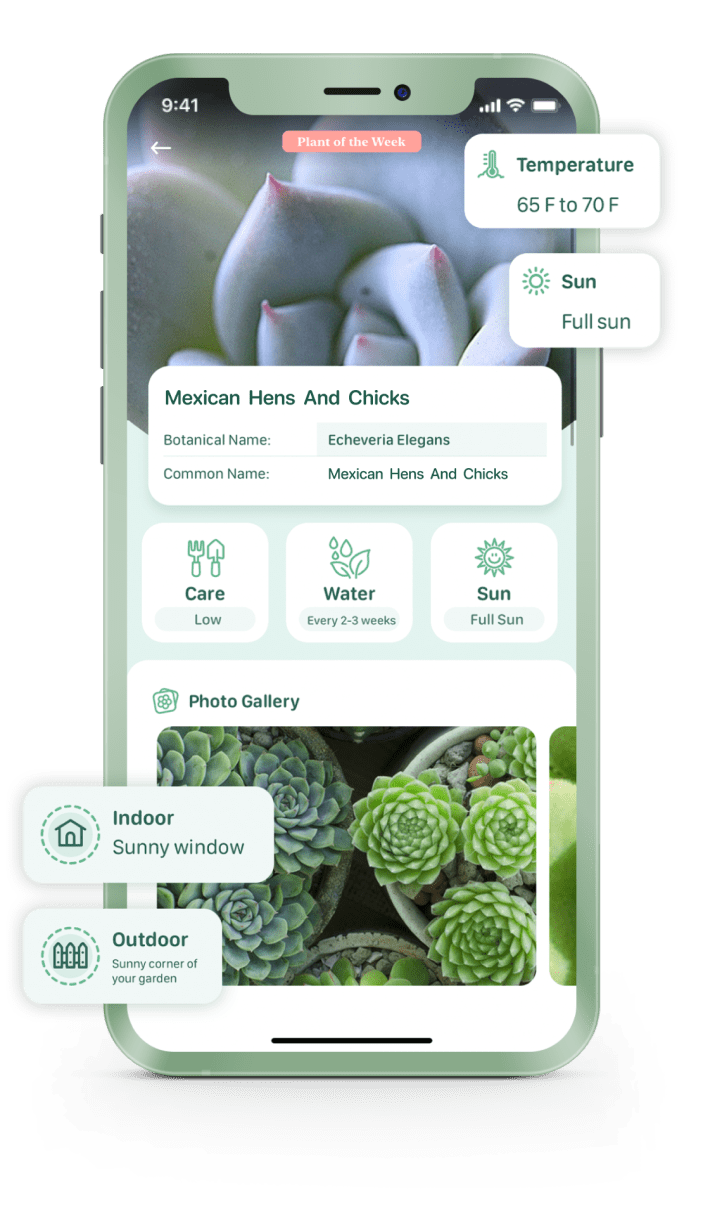 Blossom - Plant Care Companion