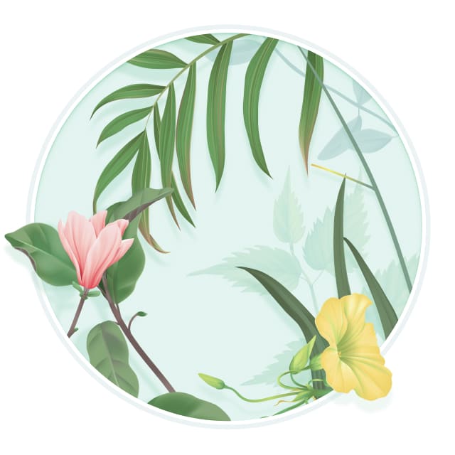 Blossom - Plant Care Companion