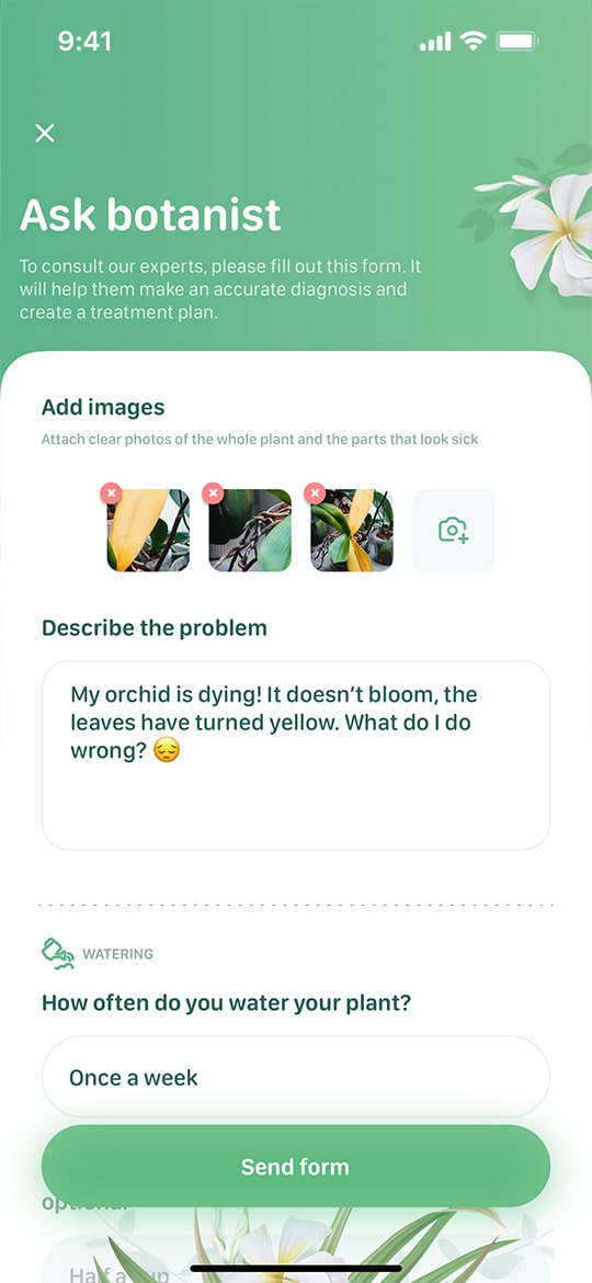 Blossom - Plant Disease Identification