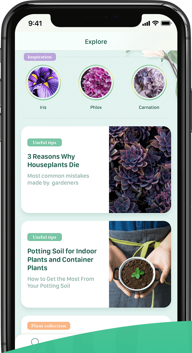 Blossom - Plant Care Companion